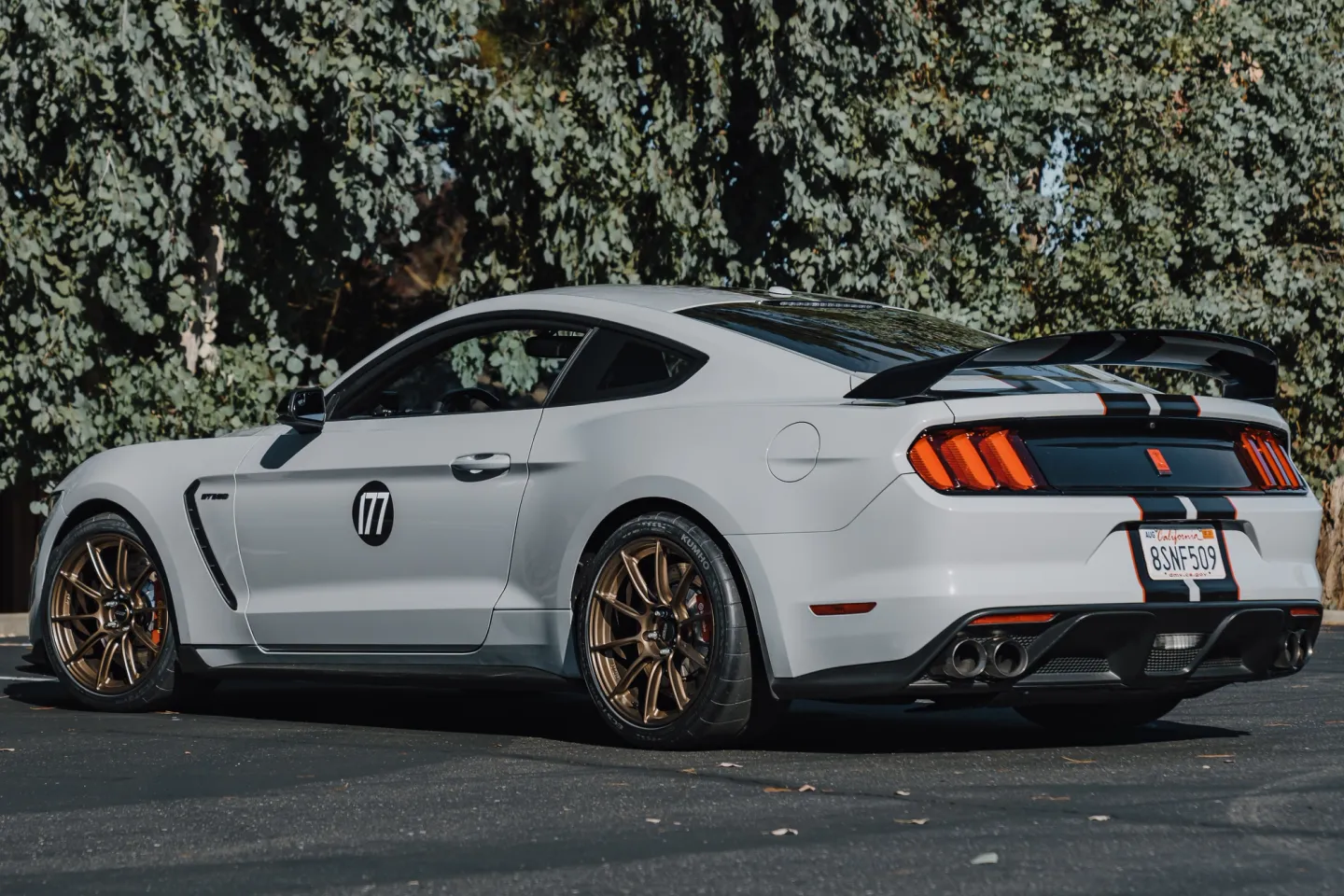 Ford S550 Mustang GT350R with 19" SM-10RS Wheels in Satin Bronze