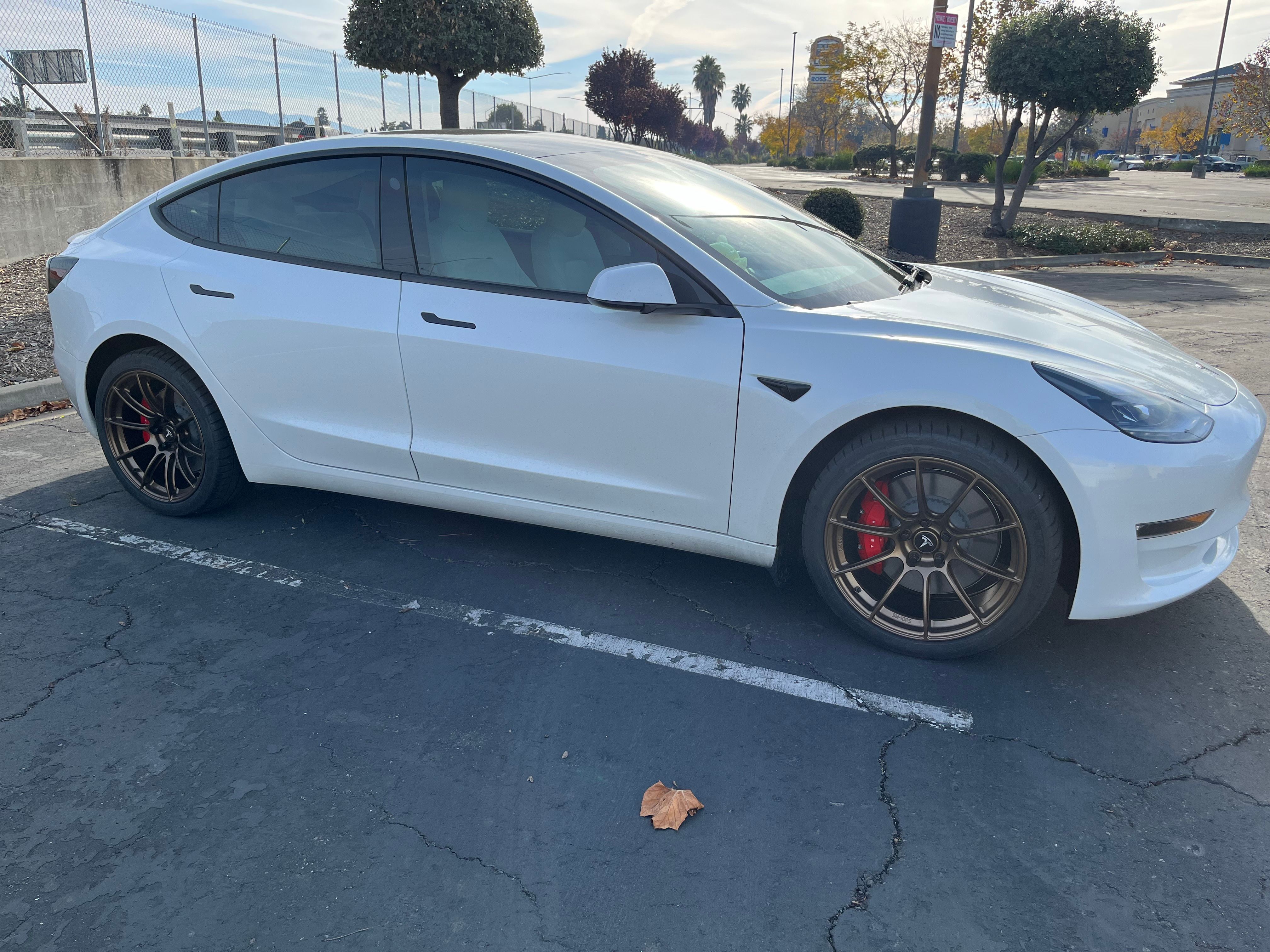 Tesla Model 3 with 19" SM-10RS in Satin Bronze on Tesla All Model 3 ...