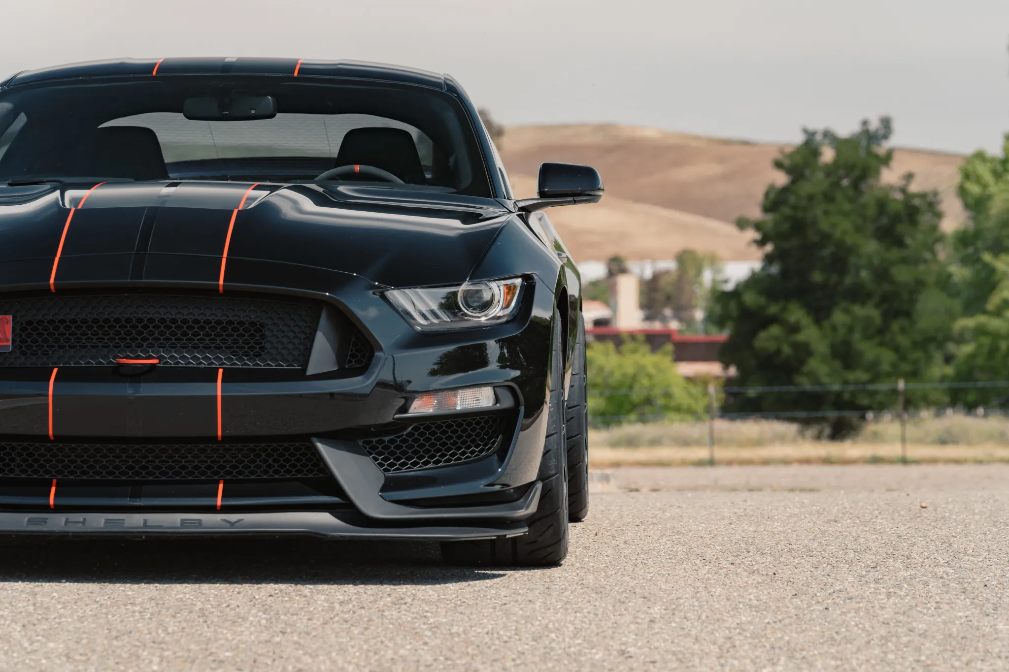 Ford S550 Mustang GT350 with 19" EC-7RS Wheels in Satin Black