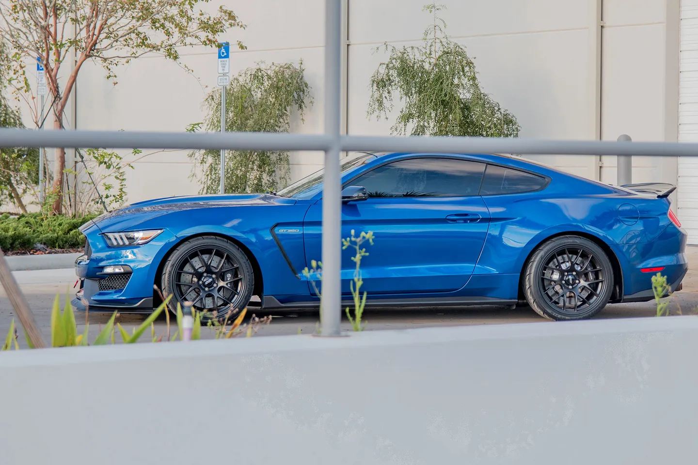 Ford S550 Mustang GT350 with 19" EC-7 Wheels in Satin Black
