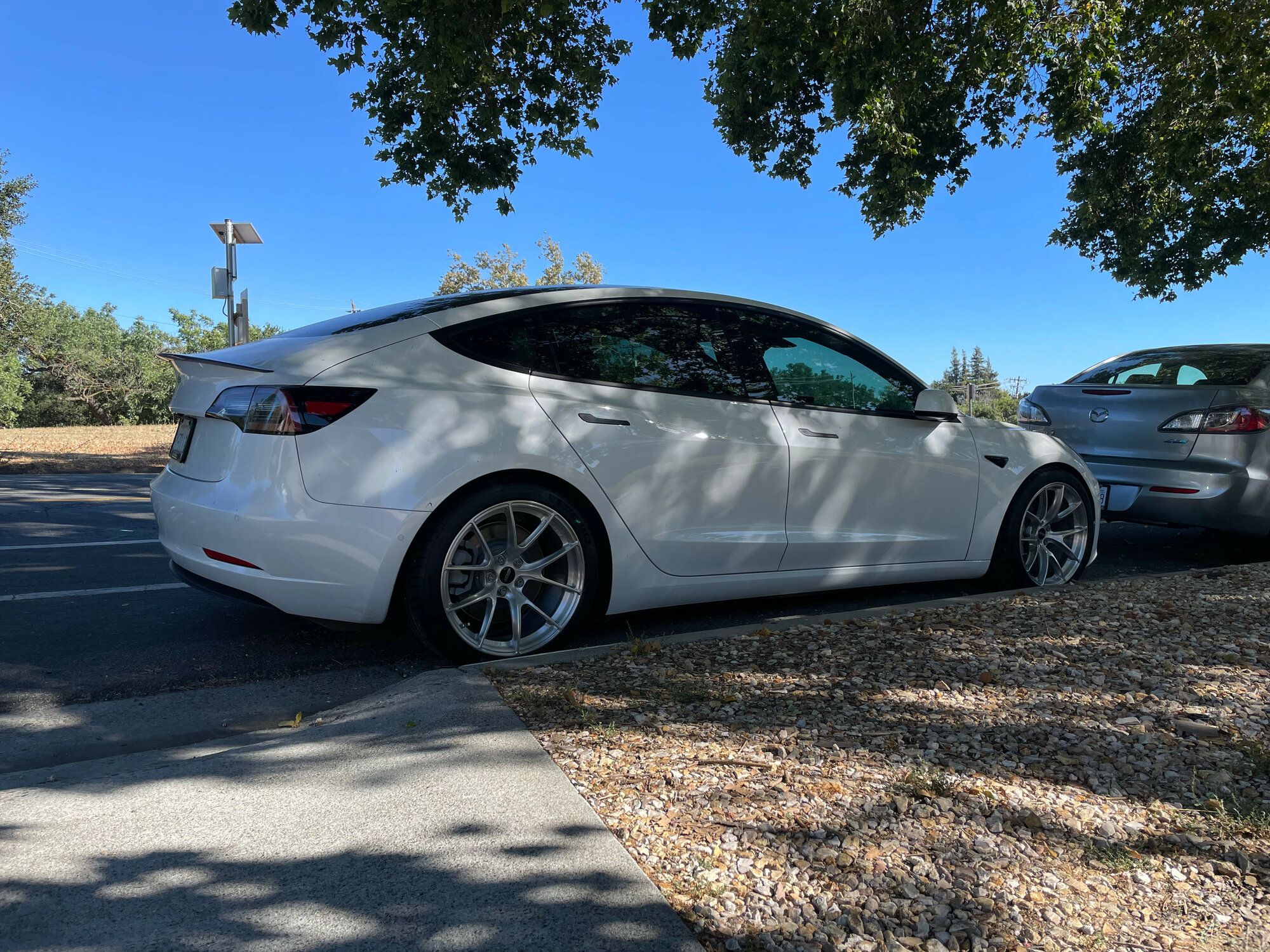Tesla Model 3 with 19" VS-5RS in Brushed Clear on Tesla Model 3 - Apex ...