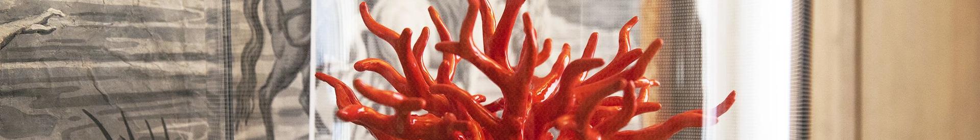 Coral Home Décor | Artemest