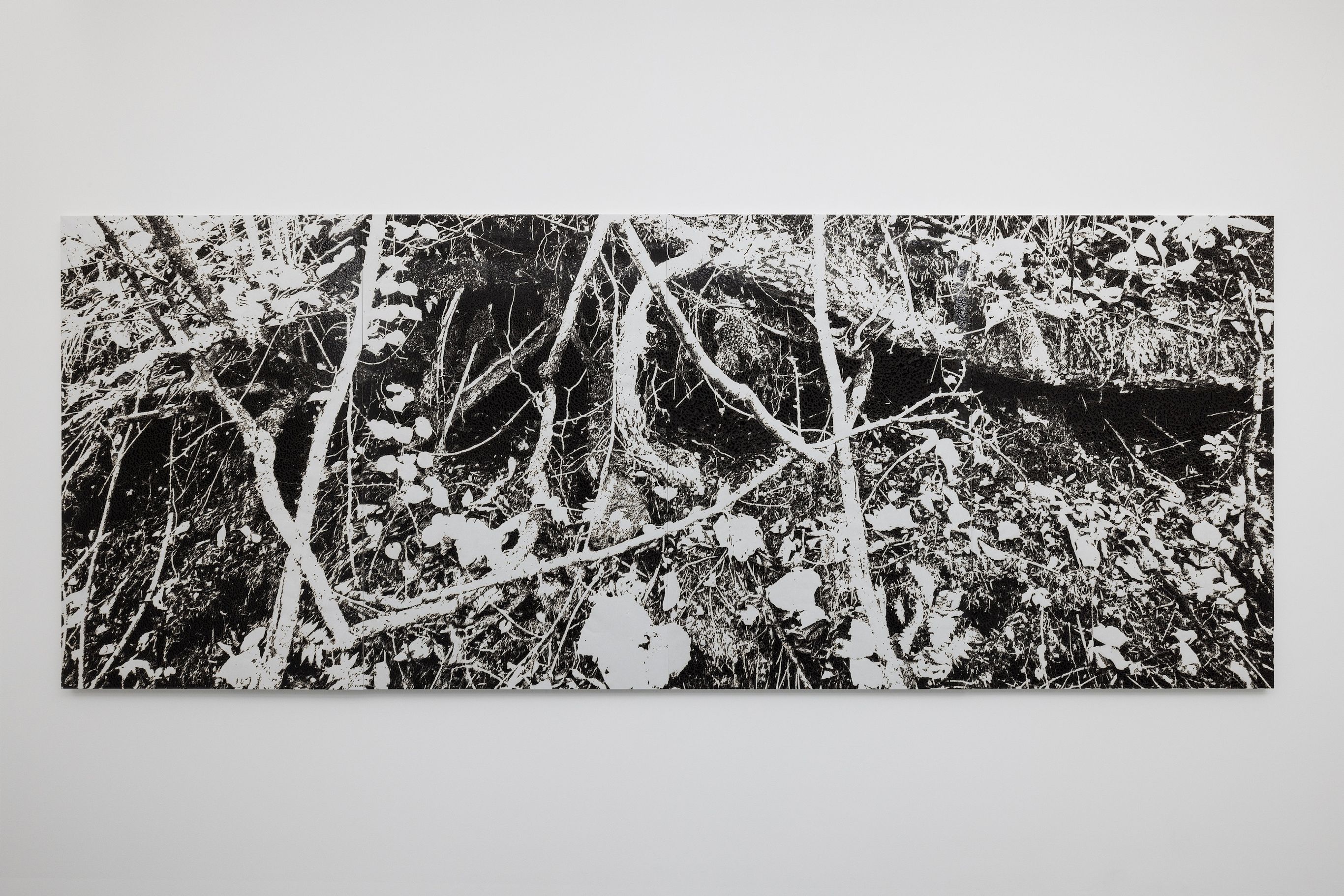 Kosuke Ichikawa | DELUSIONAL murmur (#003)