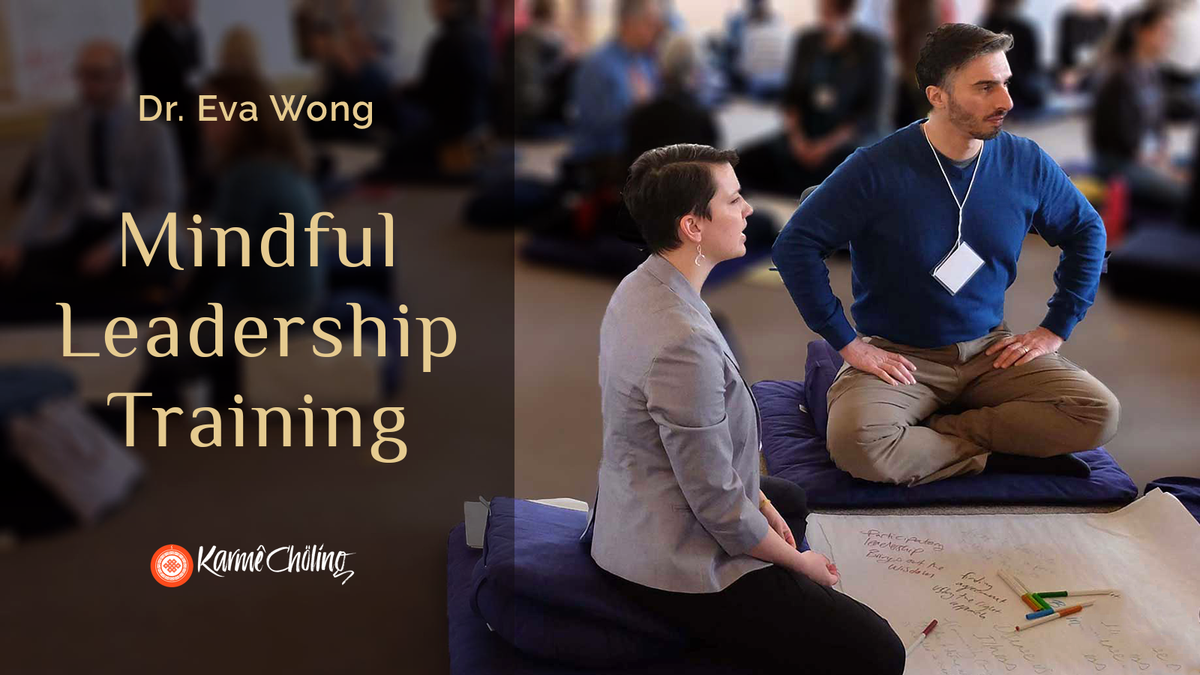 Being Strategic in the Real World: | Karmê Chöling