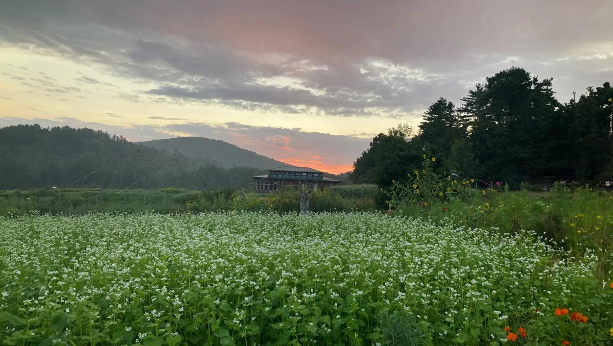 Basic Goodness | Karmê Chöling