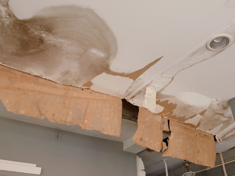 Does Homeowners Insurance Cover Water Damage? | Slide Insurance