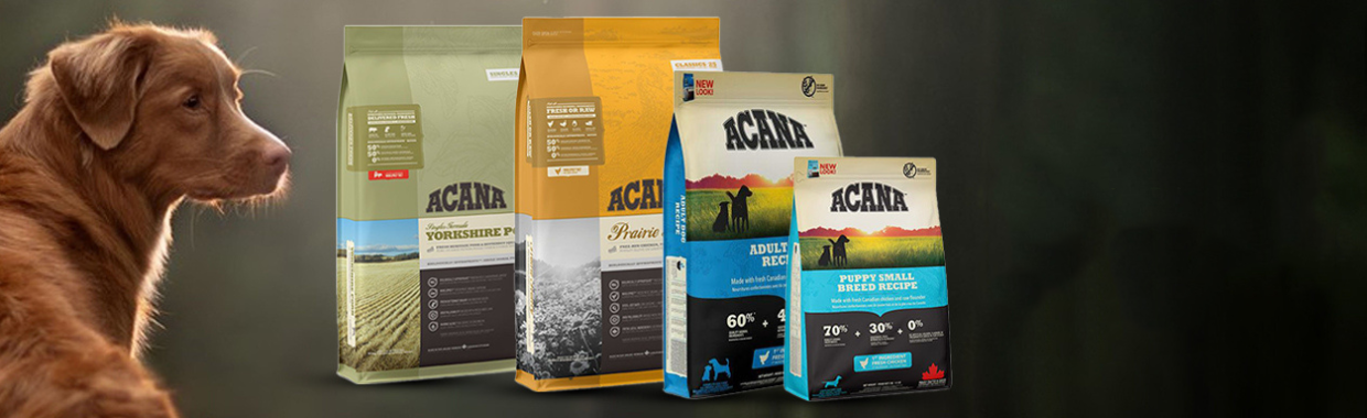 Pay in 4 Interest-Free Payments at The Pets Club – Tabby