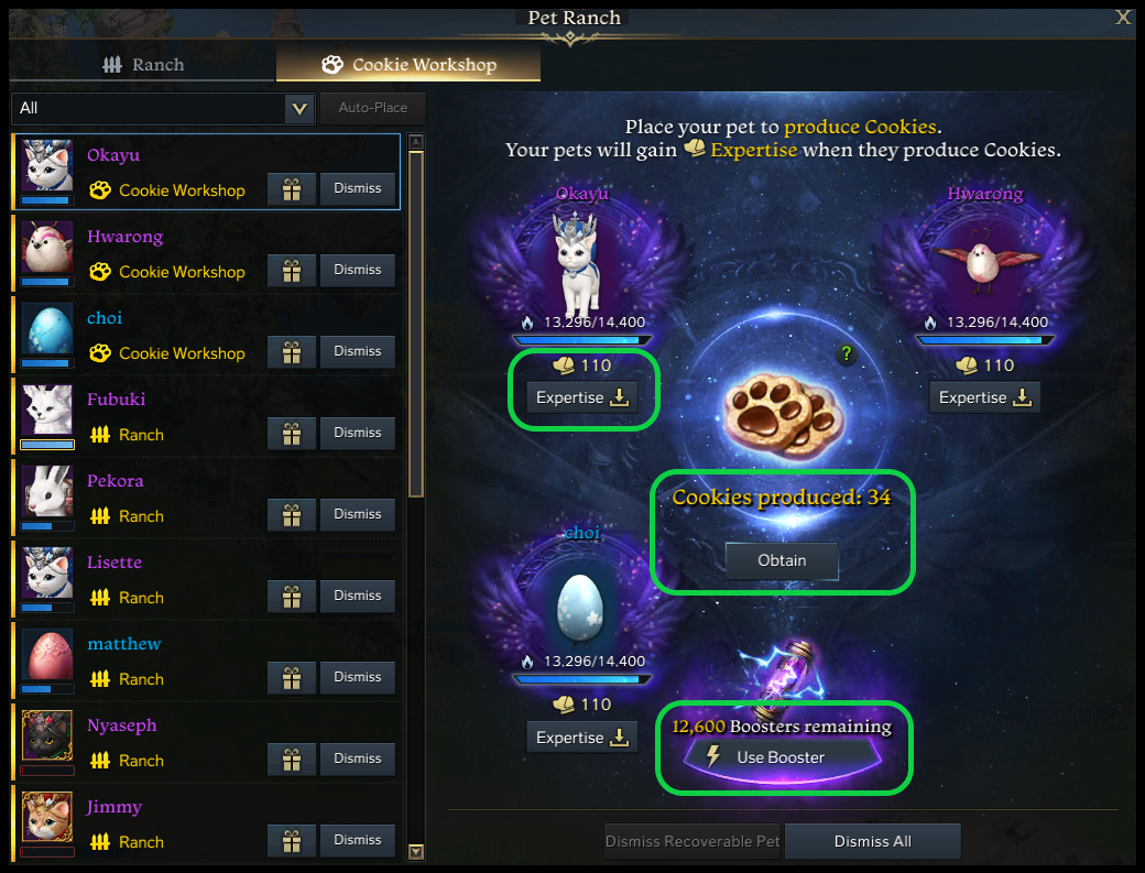 Everything You Should Know About Pet Ranch in Lost Ark | Dignitas