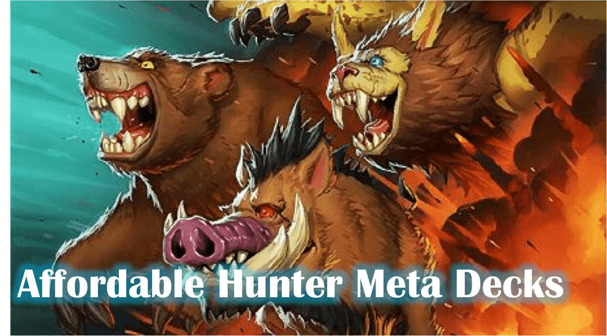 Affordable Hunter Meta Decks | Dignitas