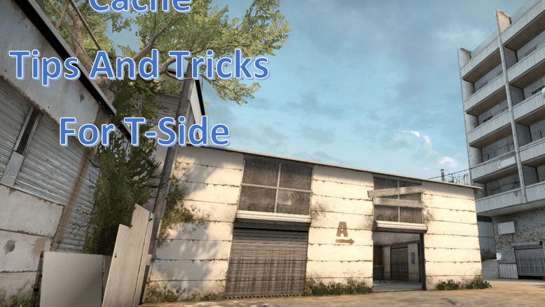 Cache Tips And Tricks For T-Side | Dignitas Cache Tips And Tricks For T-Side | Dignitas