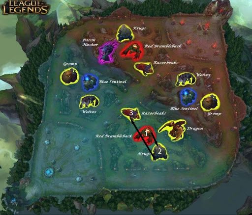 Guide to Starting Jungle Paths | Dignitas