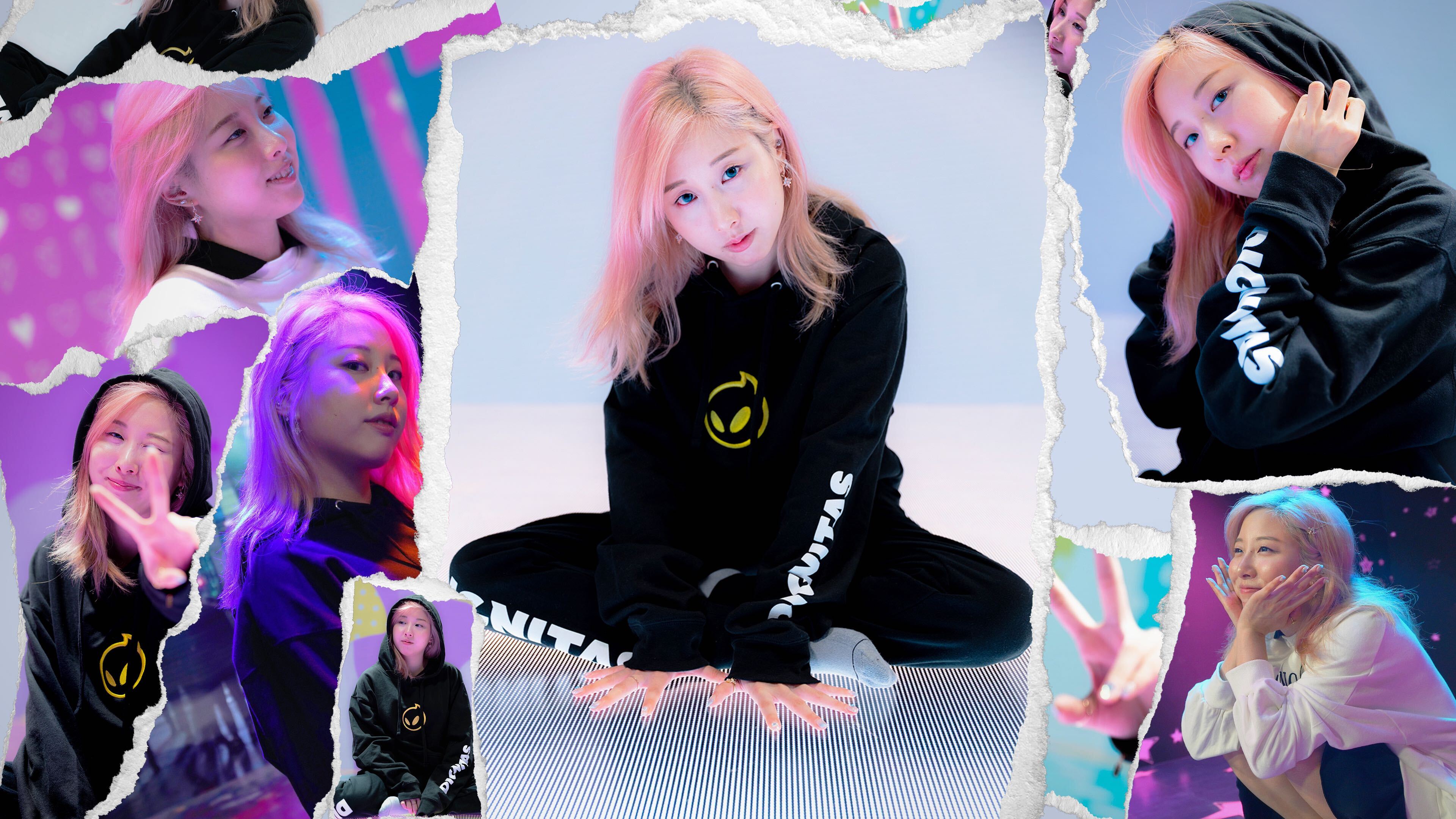 Wallpapers | Dignitas