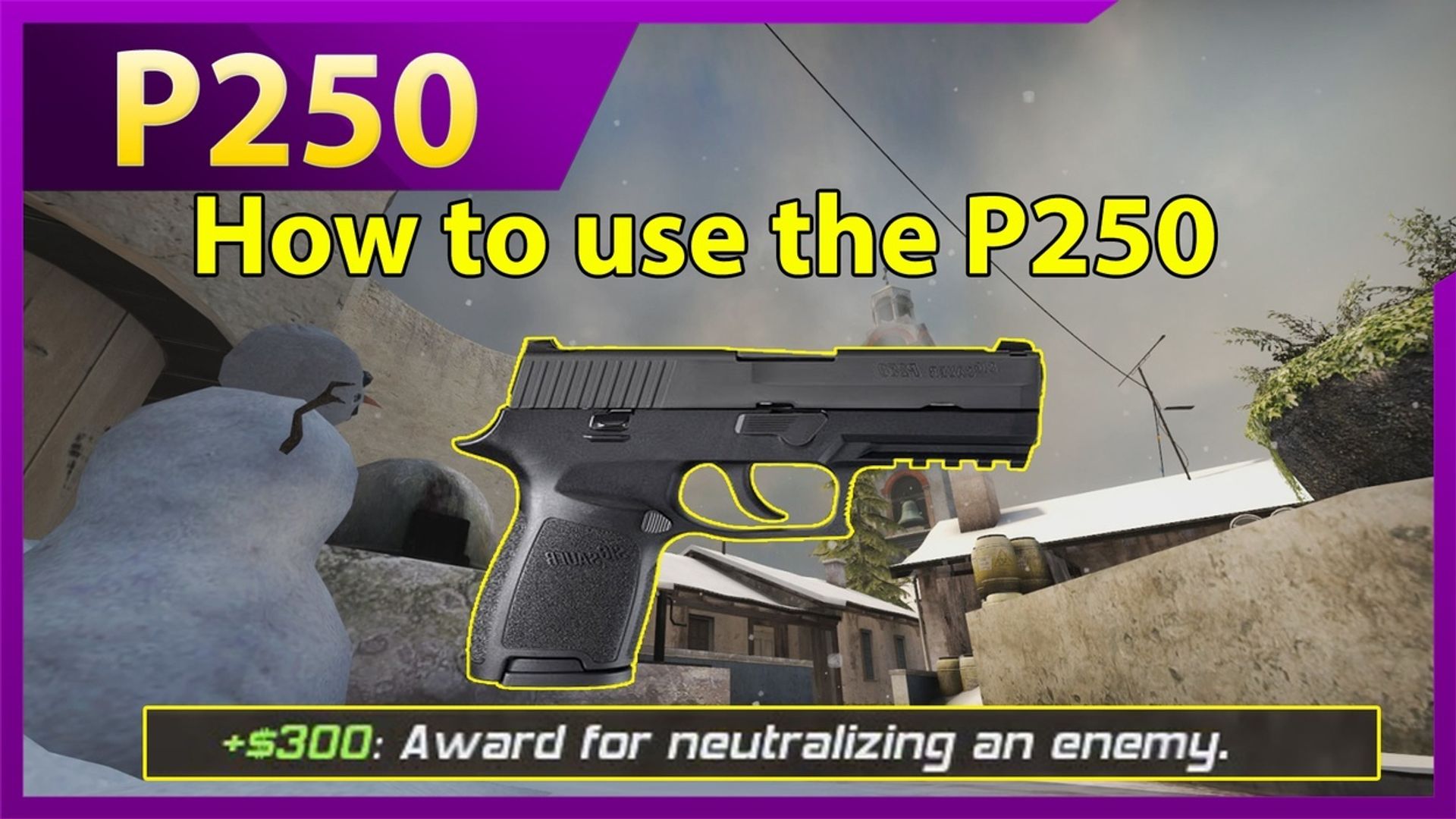 In-Depth Look: How to Use the P250 Effectively | Dignitas