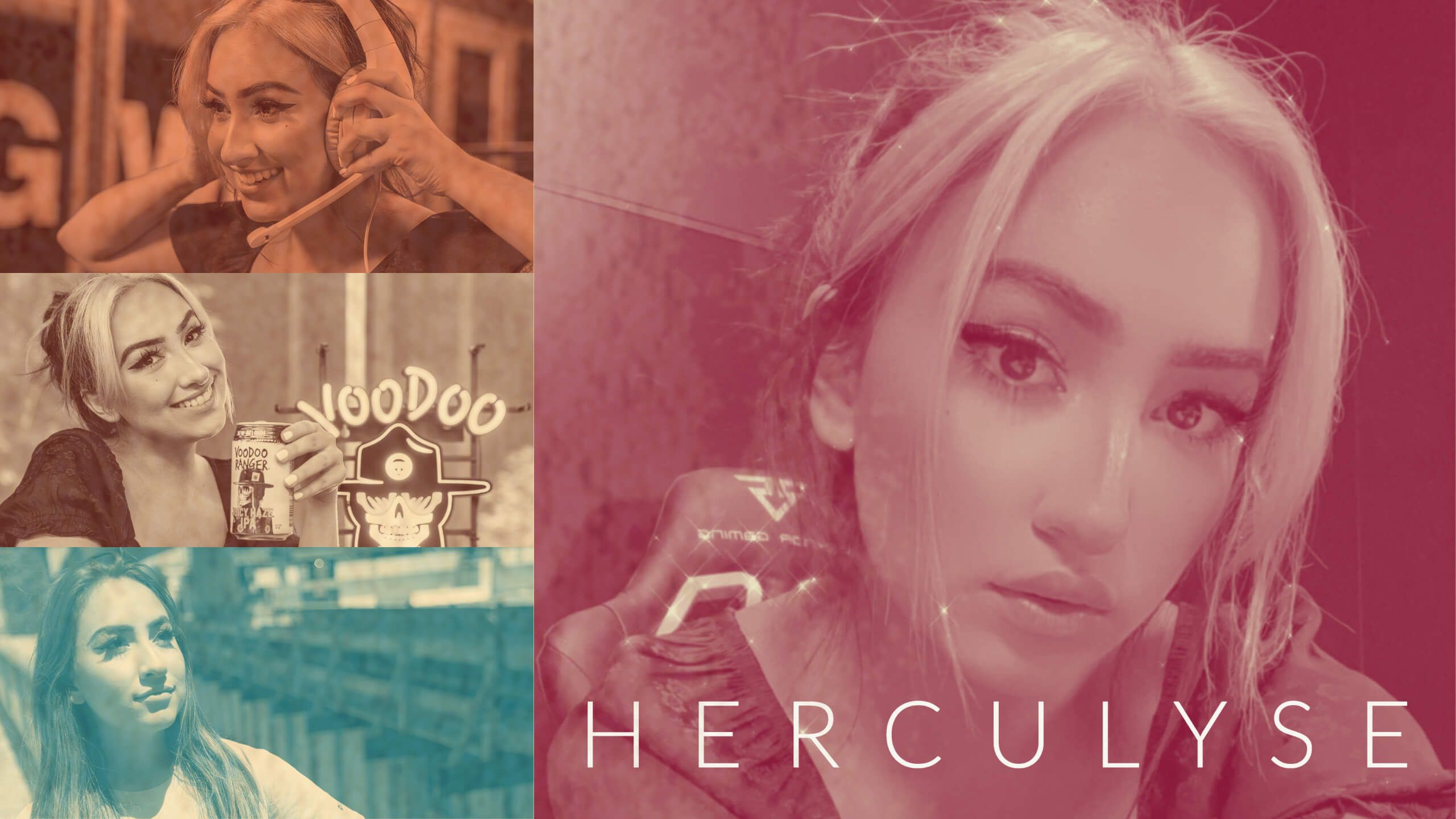 Wallpapers | Dignitas