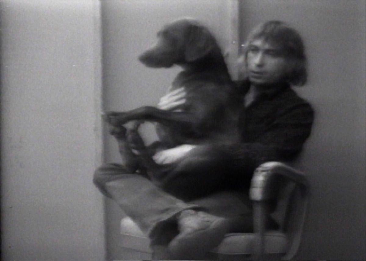 No Dogs Allowed: How William Wegman Broke the Rules of Conceptual Art ...