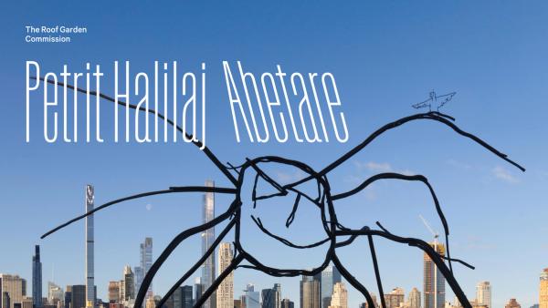 The Roof Garden Commission: Petrit Halilaj, Abetare - The Metropolitan ...
