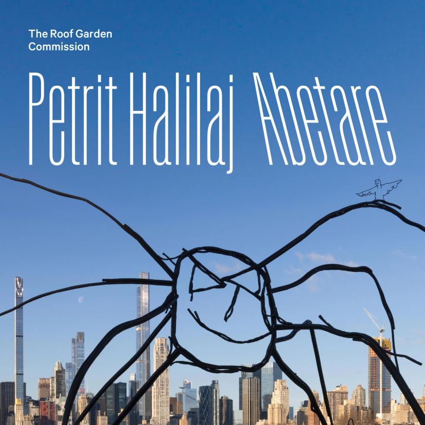 The Roof Garden Commission: Petrit Halilaj, Abetare - The Metropolitan ...