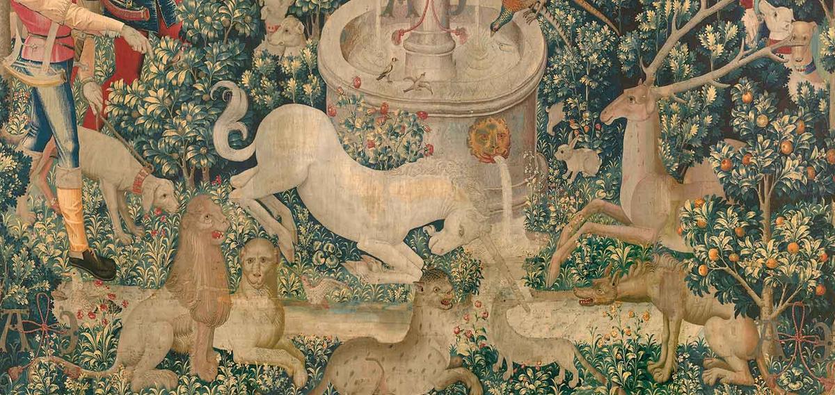 Meet the Narwhal, the Long-Toothed Whale that Inspired a Magical ...