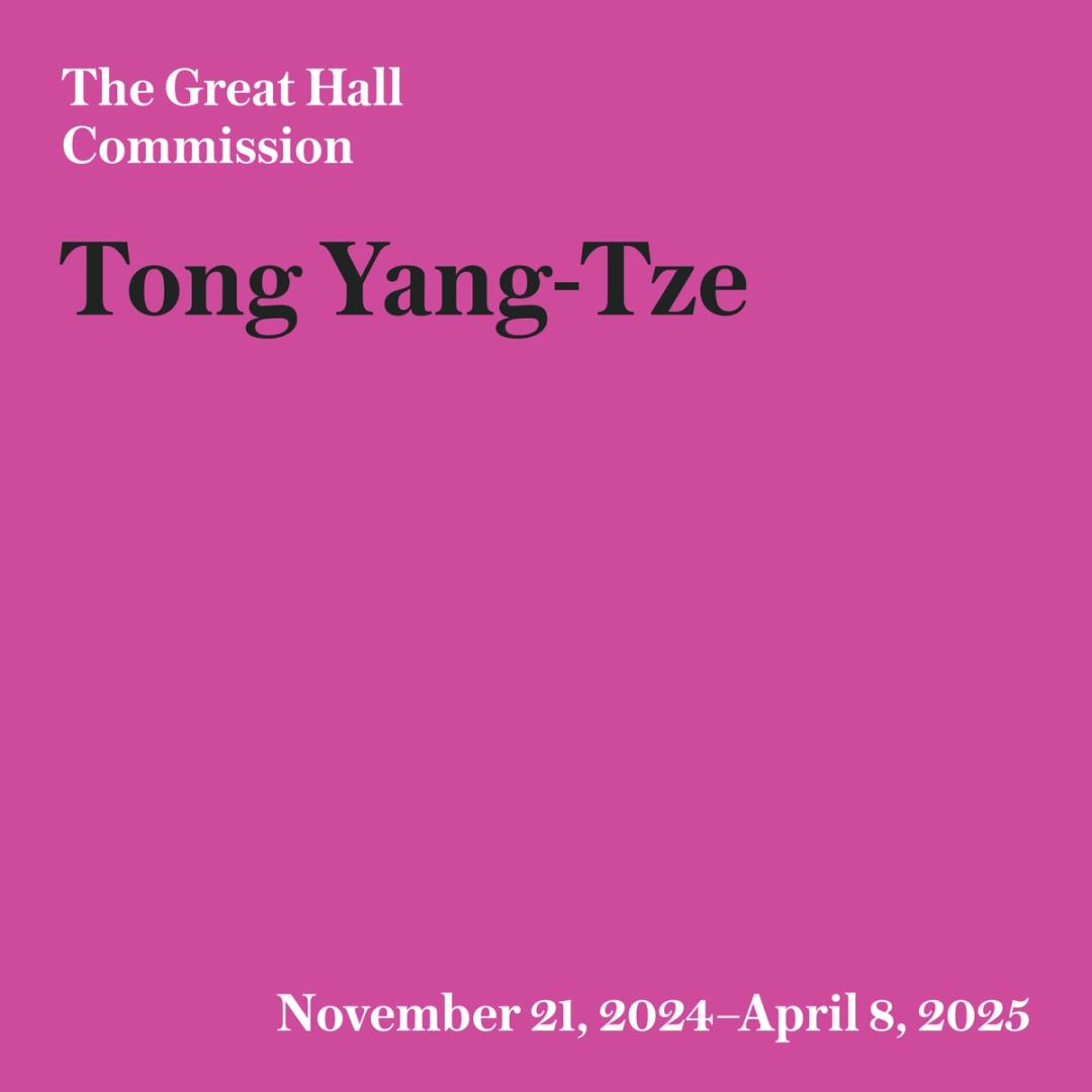 The Great Hall Commission: Tong Yang-Tze - The Metropolitan Museum of Art