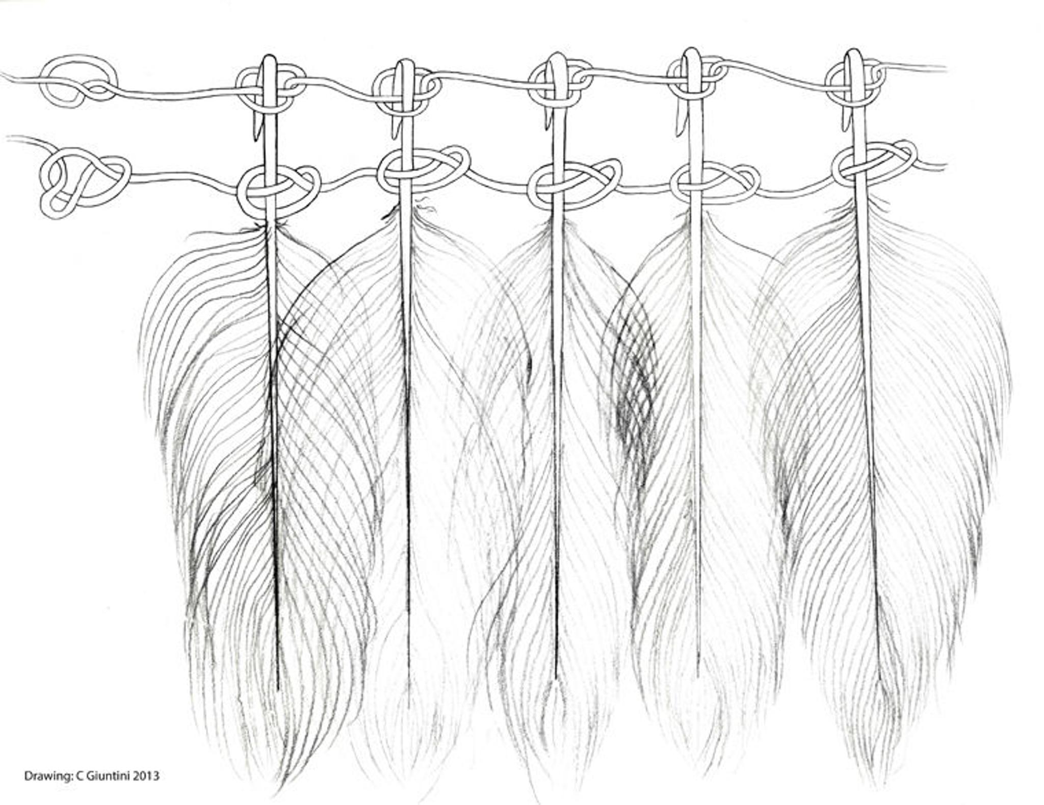 When Feathers Were the Treasures of the Rainforest - The Metropolitan ...