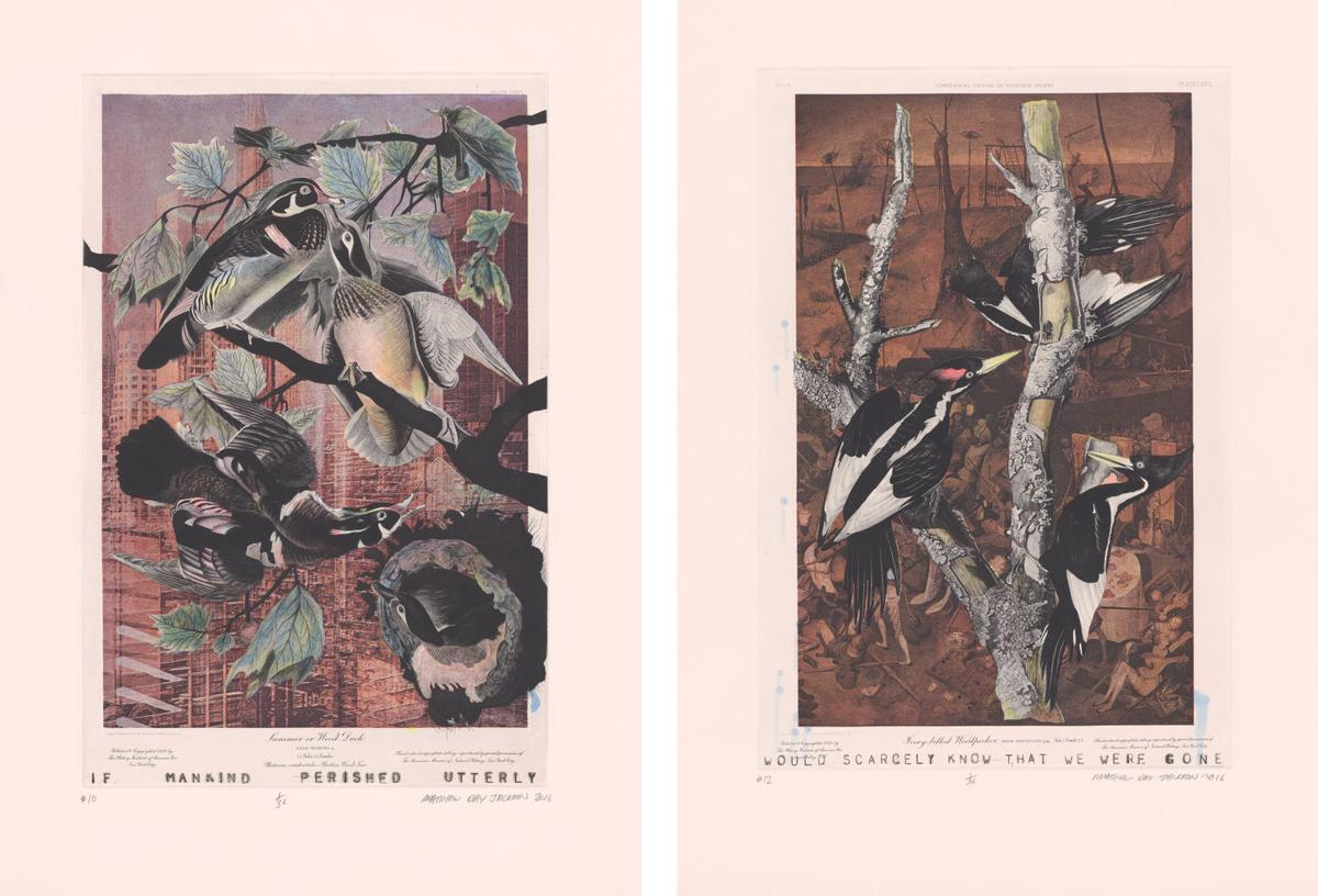 Birding at The Met: A Selection of Drawings and Prints - The ...
