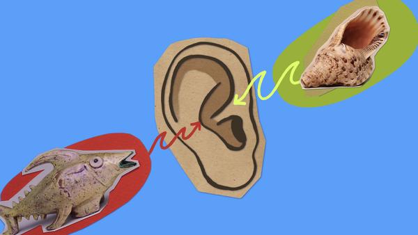 What’s the Science behind Music? - The Metropolitan Museum of Art