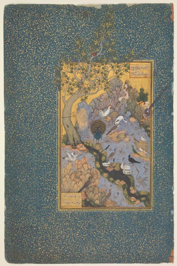 On Birds and Beauty - The Metropolitan Museum of Art