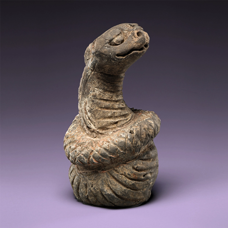 Celebrating the Year of the Snake - The Metropolitan Museum of Art