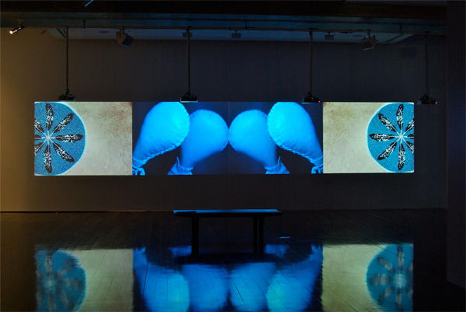Dana Claxton to Perform Original Piece, Fringed, at the Met - The ...