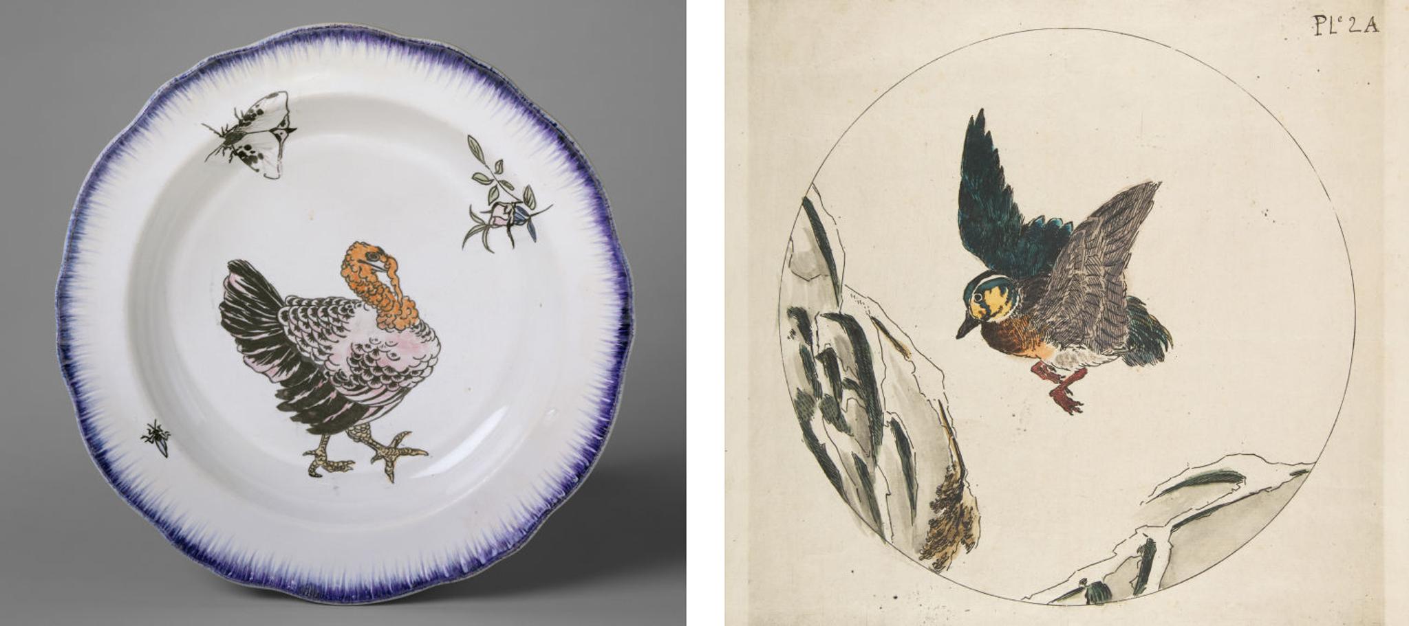 Birding at The Met: A Selection of Drawings and Prints - The ...
