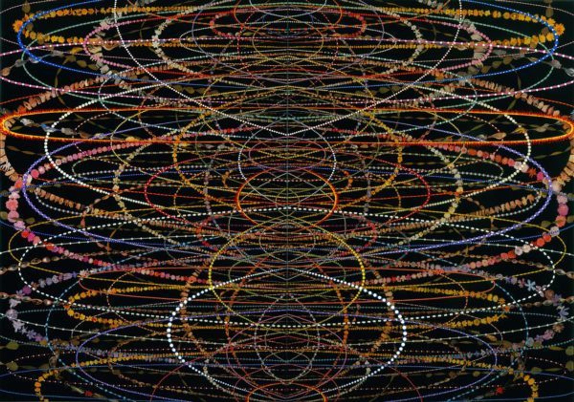 The Artist Project: Fred Tomaselli - The Metropolitan Museum of Art