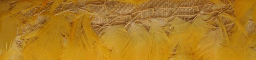 When Feathers Were the Treasures of the Rainforest - The Metropolitan ...