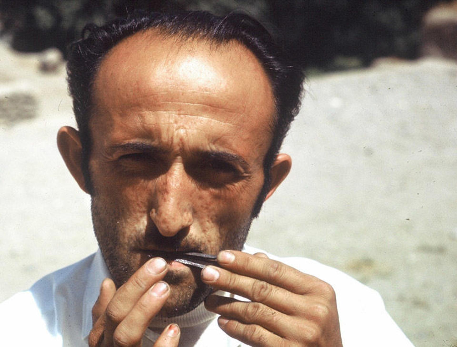 Musical Instruments of Afghanistan: An Ethnomusicologist's Journey ...