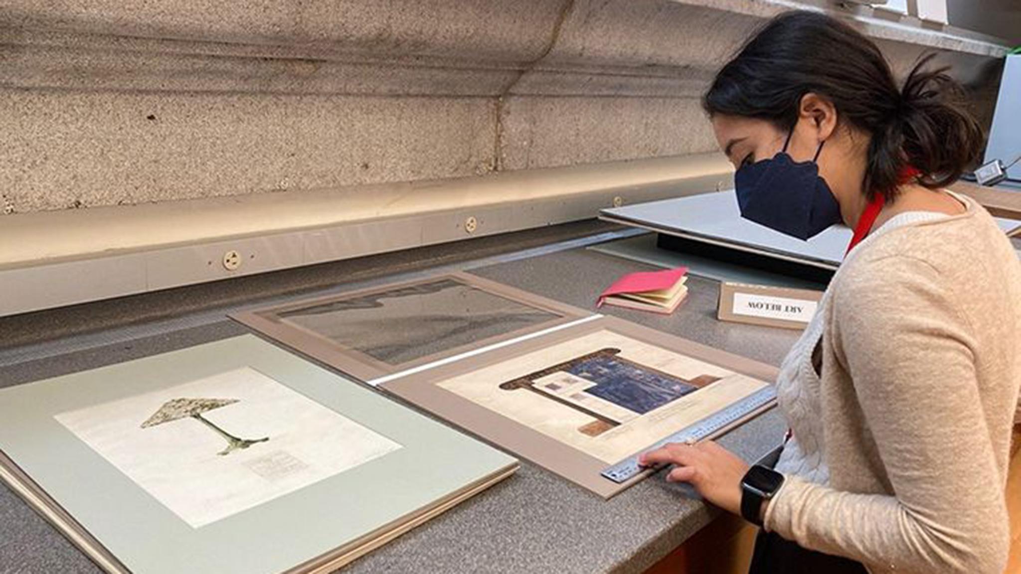 What do pre-program interns do in Paper Conservation? - The ...