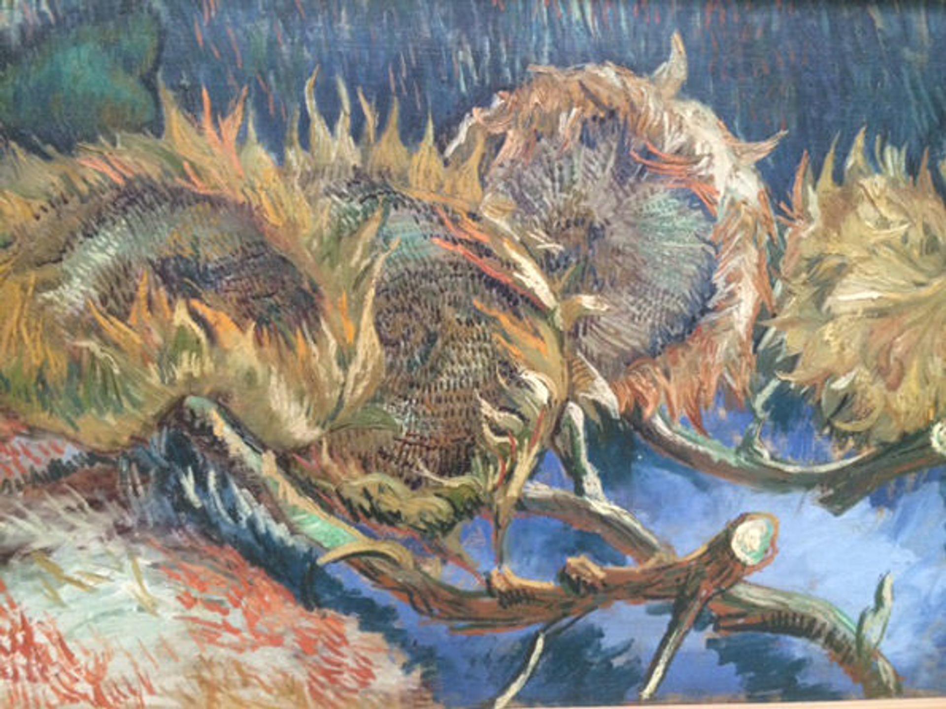 Van Gogh's French Flowers - The Metropolitan Museum of Art