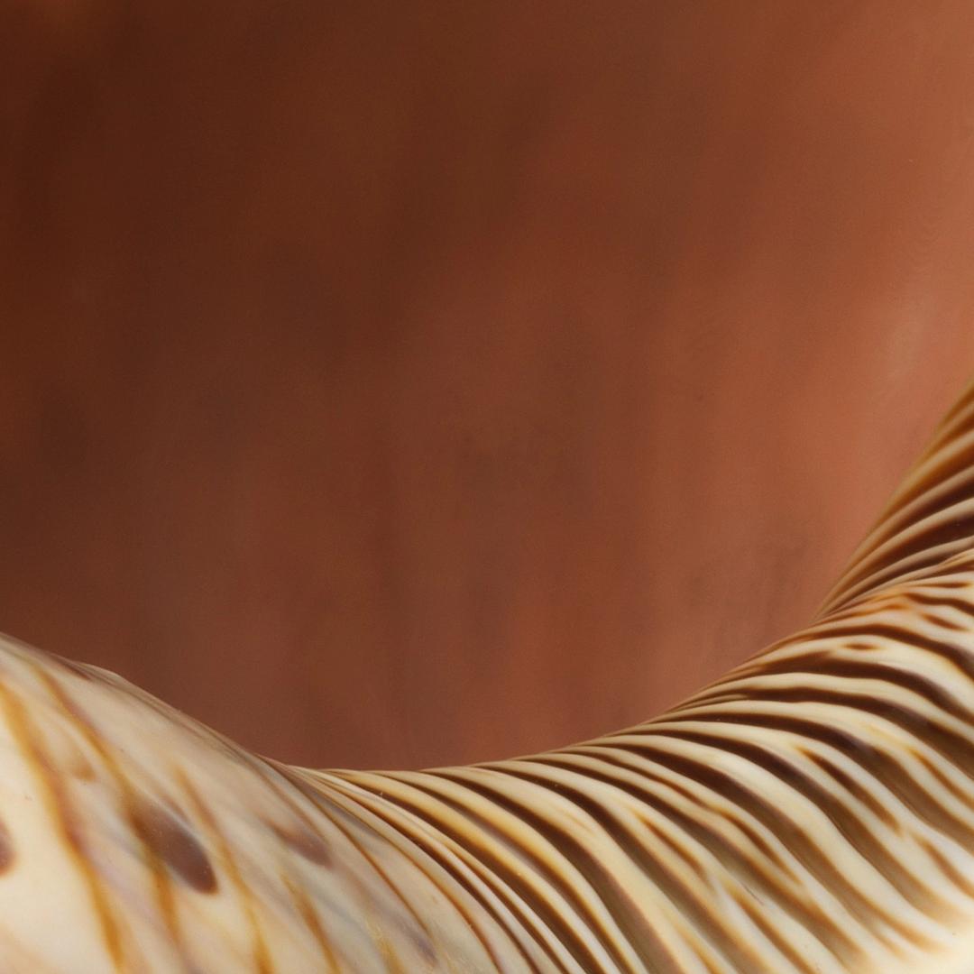 Introducing: Immaterial - The Metropolitan Museum of Art