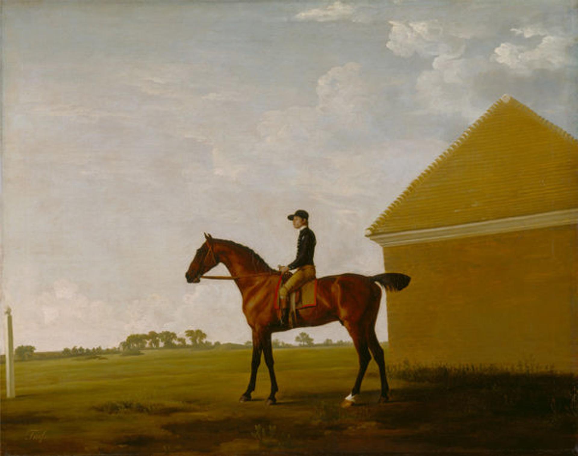 George Stubbs and the Art of the Thoroughbred - The Metropolitan Museum ...