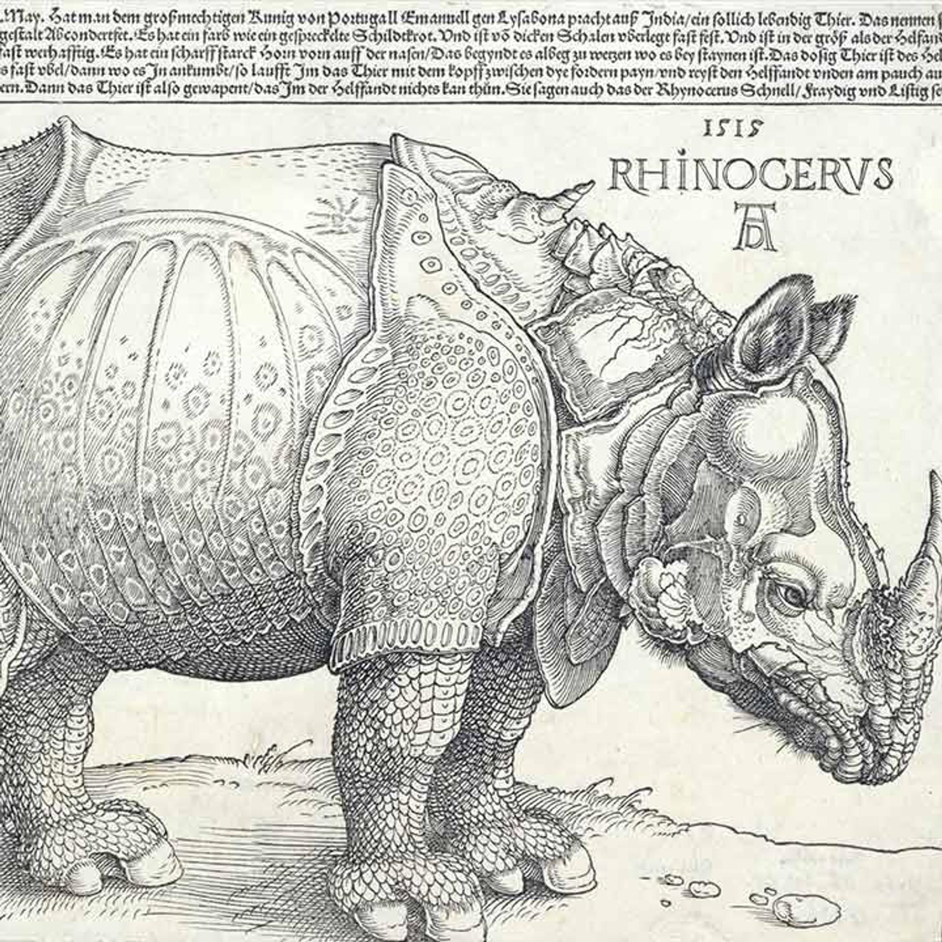 Albrecht Dürer - The Rhinoceros - The Metropolitan Museum of Art