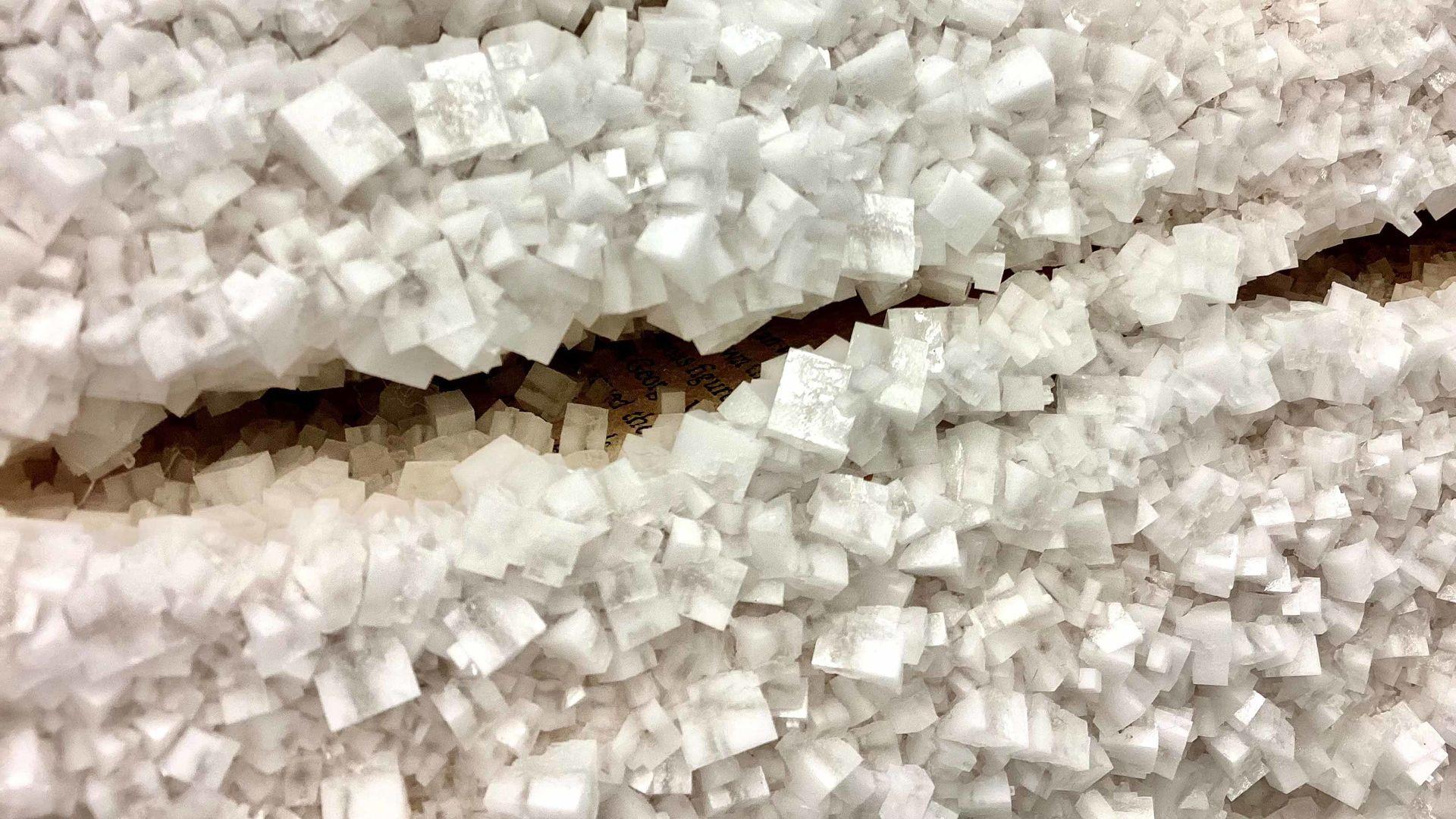 Exploring Late Monet with Art Historian Kathryn Calley Galitz - The ...