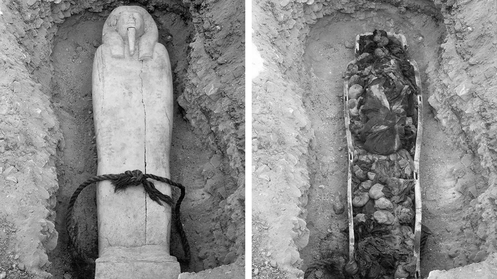 Curatorial Interpretation: Palm Column of Sahure - The Metropolitan ...