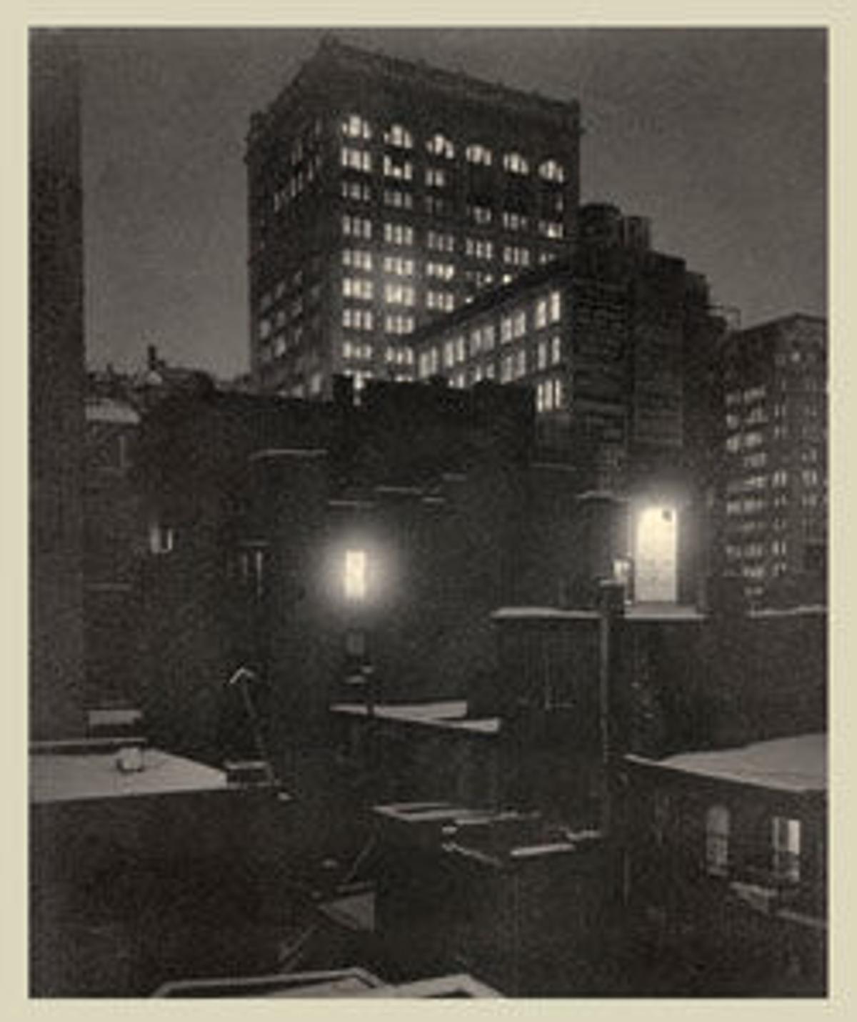 The Collection of Alfred Stieglitz: Fifty Pioneers of Modern ...
