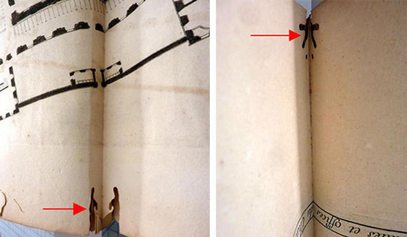 A Book's Best Frenemy - The Metropolitan Museum of Art