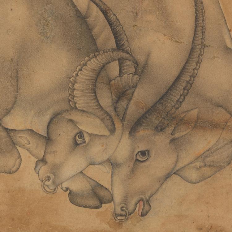 Ink and Ivory: Indian Drawings and Photographs Selected with James ...