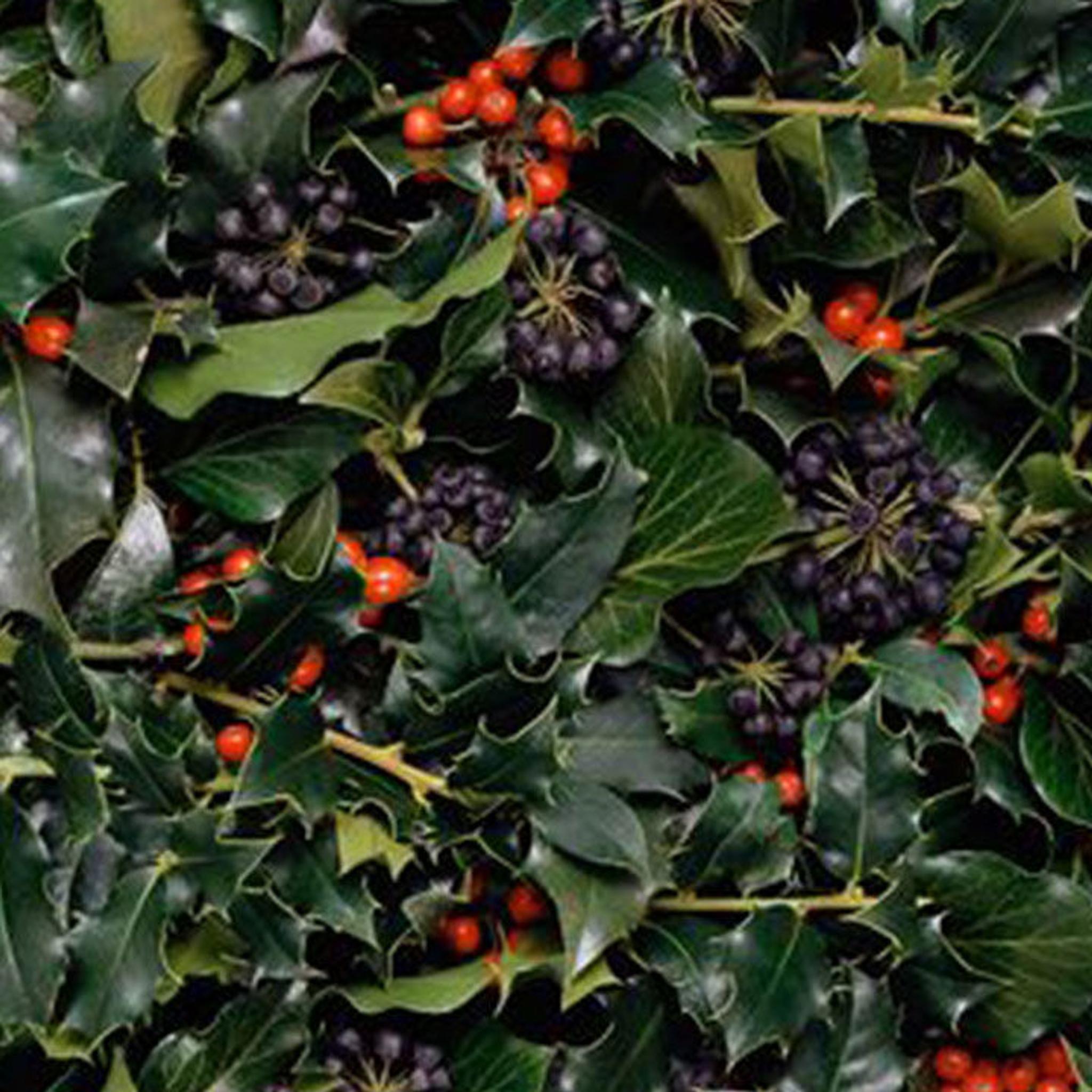 The Medieval Garden Enclosed—The Holly and The Ivy - The Metropolitan ...
