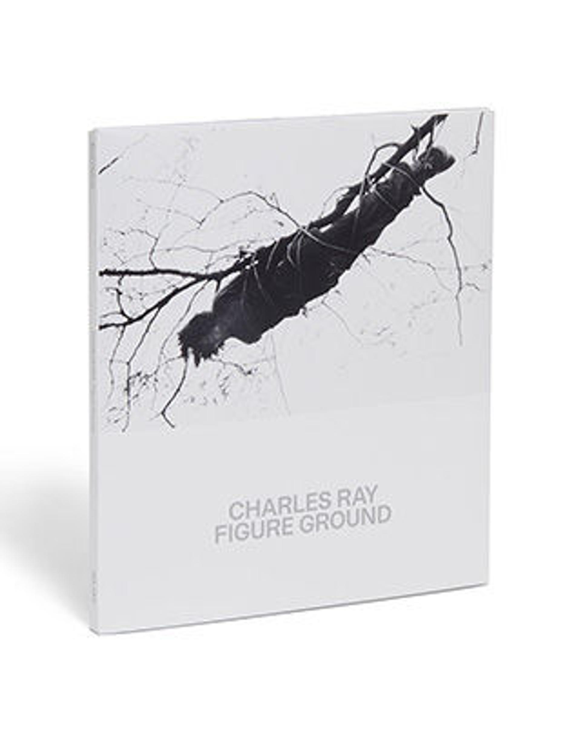 Charles Ray: Figure Ground - The Metropolitan Museum of Art