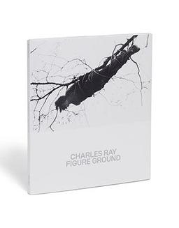Charles Ray: Figure Ground - The Metropolitan Museum of Art