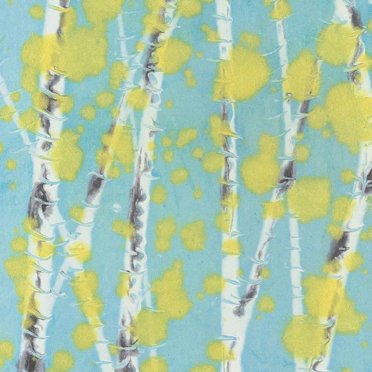 Decorated Paper: A Selection of Publications in Watson Library - The ...