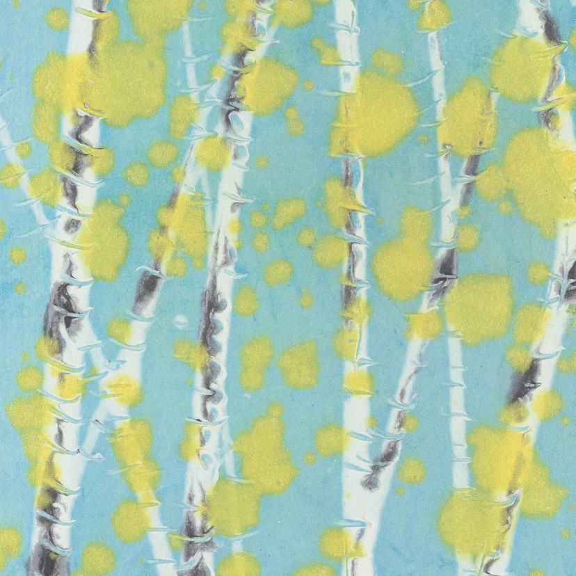 Decorated Paper: A Selection of Publications in Watson Library - The ...