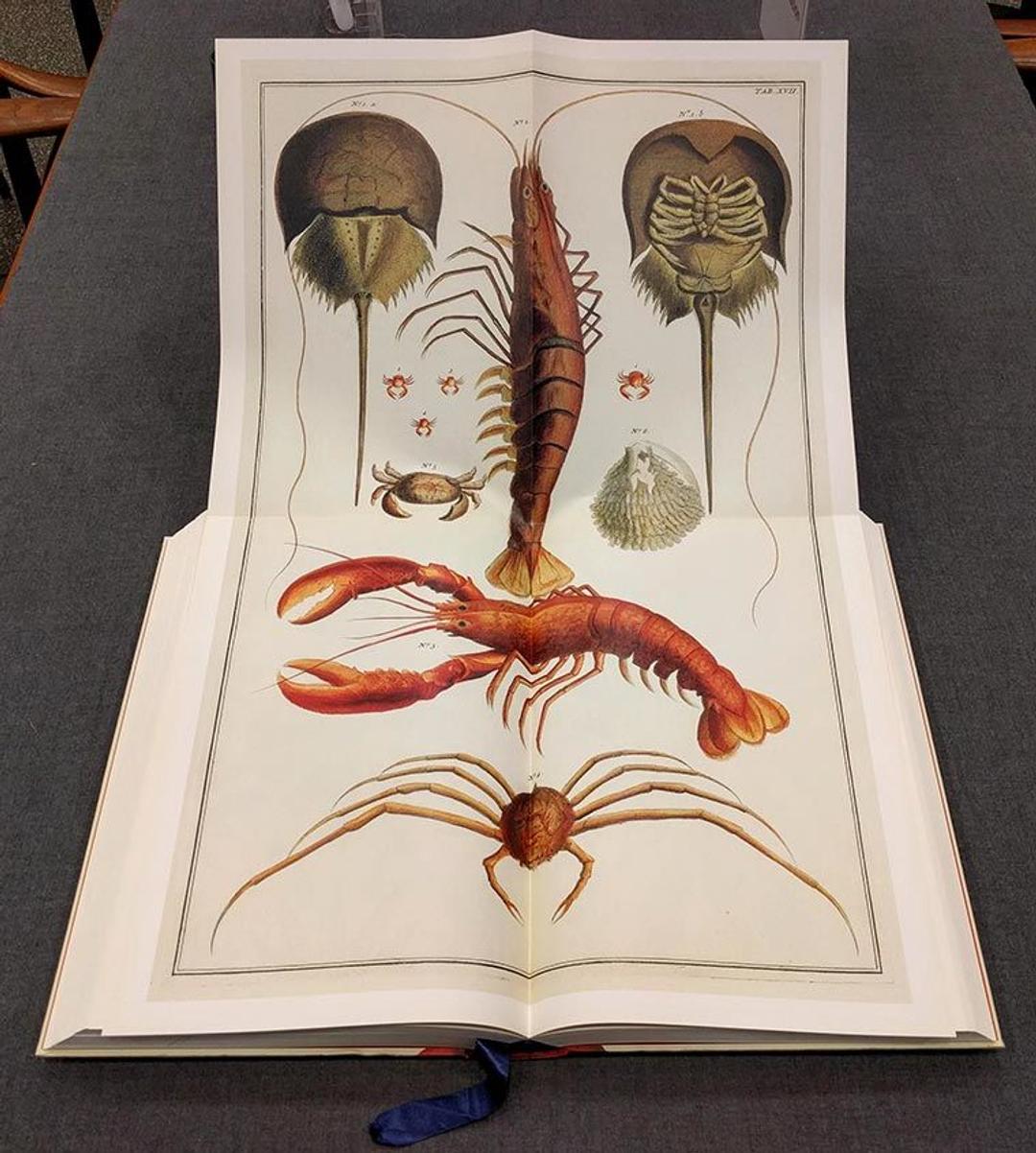 A Library of Natural Curiosities - The Metropolitan Museum of Art