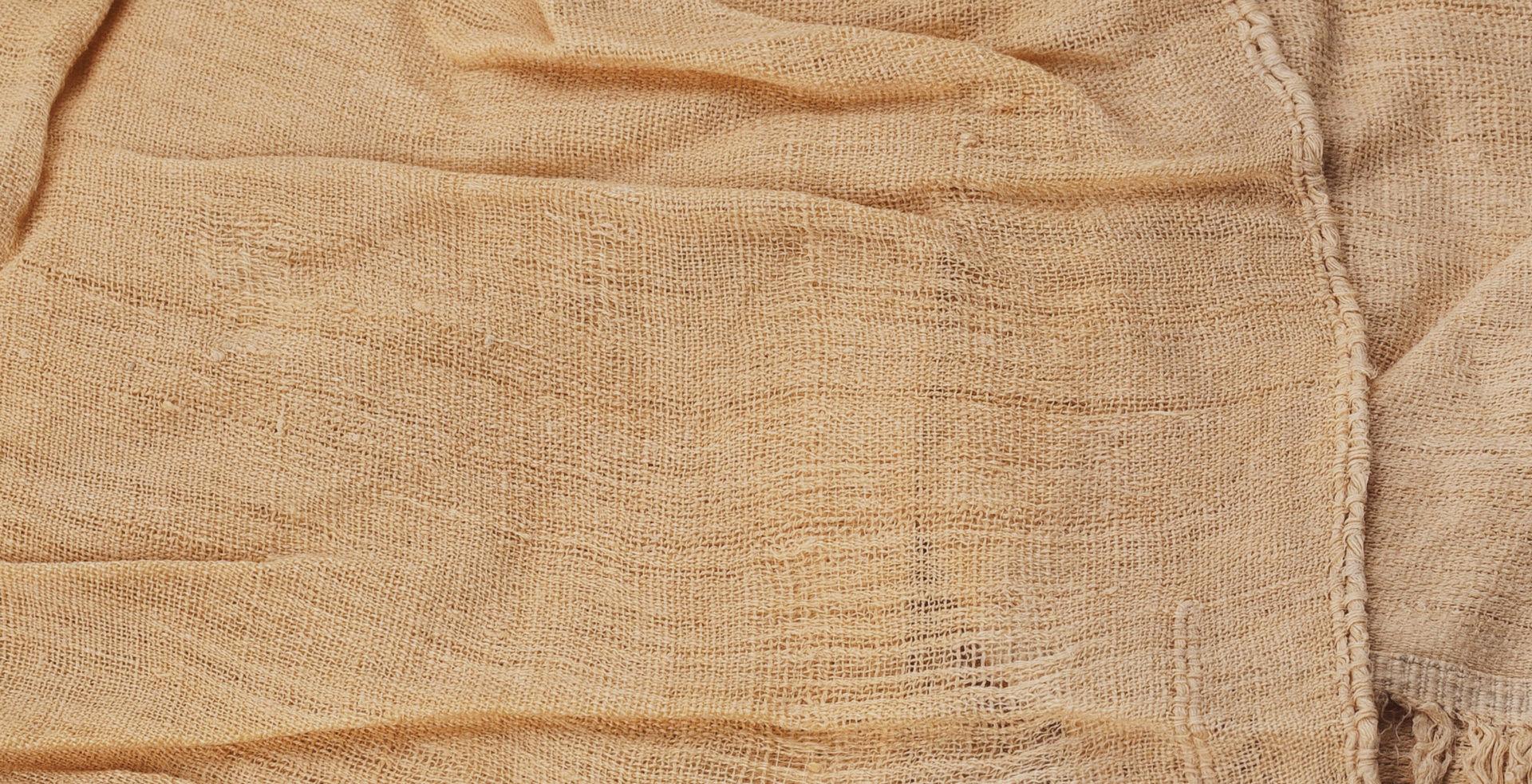 Immaterial: Shells - The Metropolitan Museum of Art